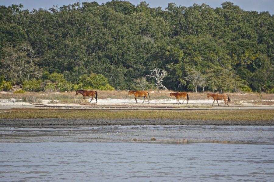 Best Southeast Spring Break Destinations | Ciao Bambino!