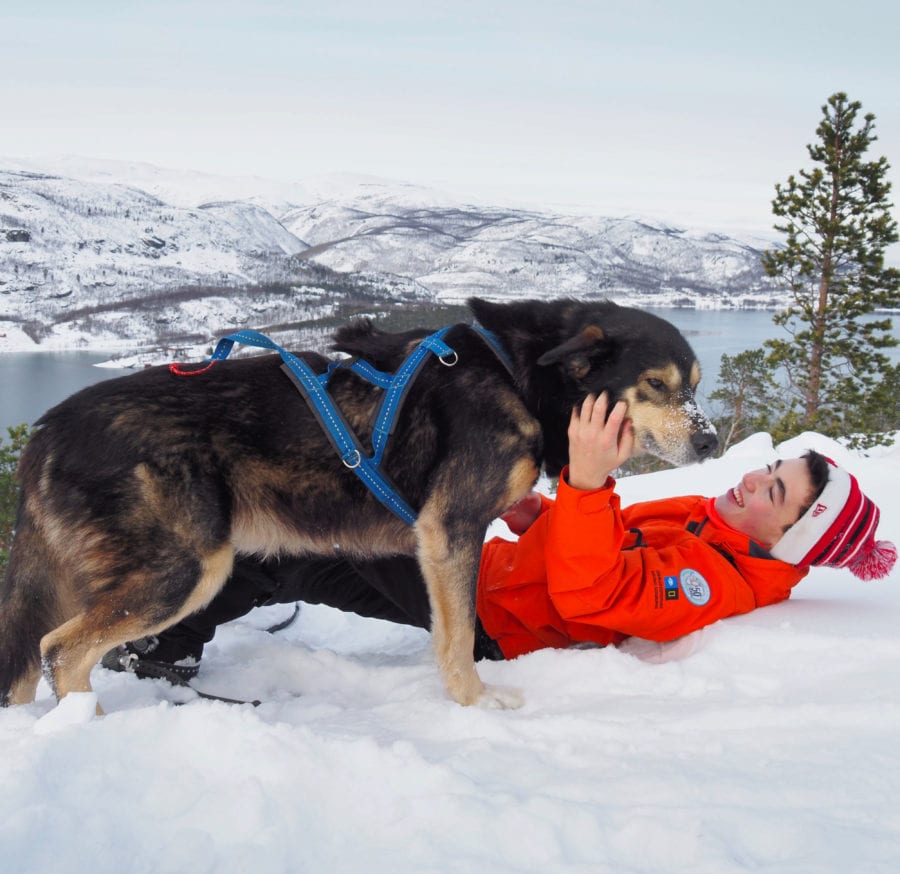 Arctic and Antarctica with Kids | Ciao Bambino!