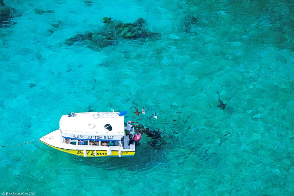 The Best Belize Travel Tips for Families | Ciao Bambino!