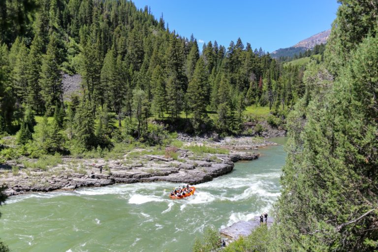 Best Things to Do in Jackson Hole with Kids | Ciao Bambino!