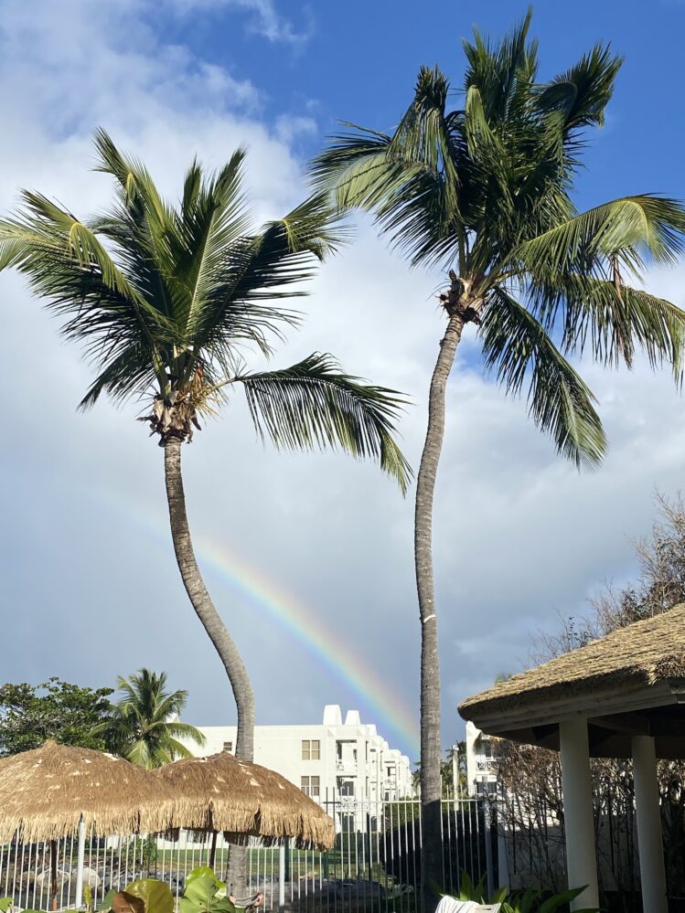 Puerto Rico Travel Guide for Families | Ciao Bambino!