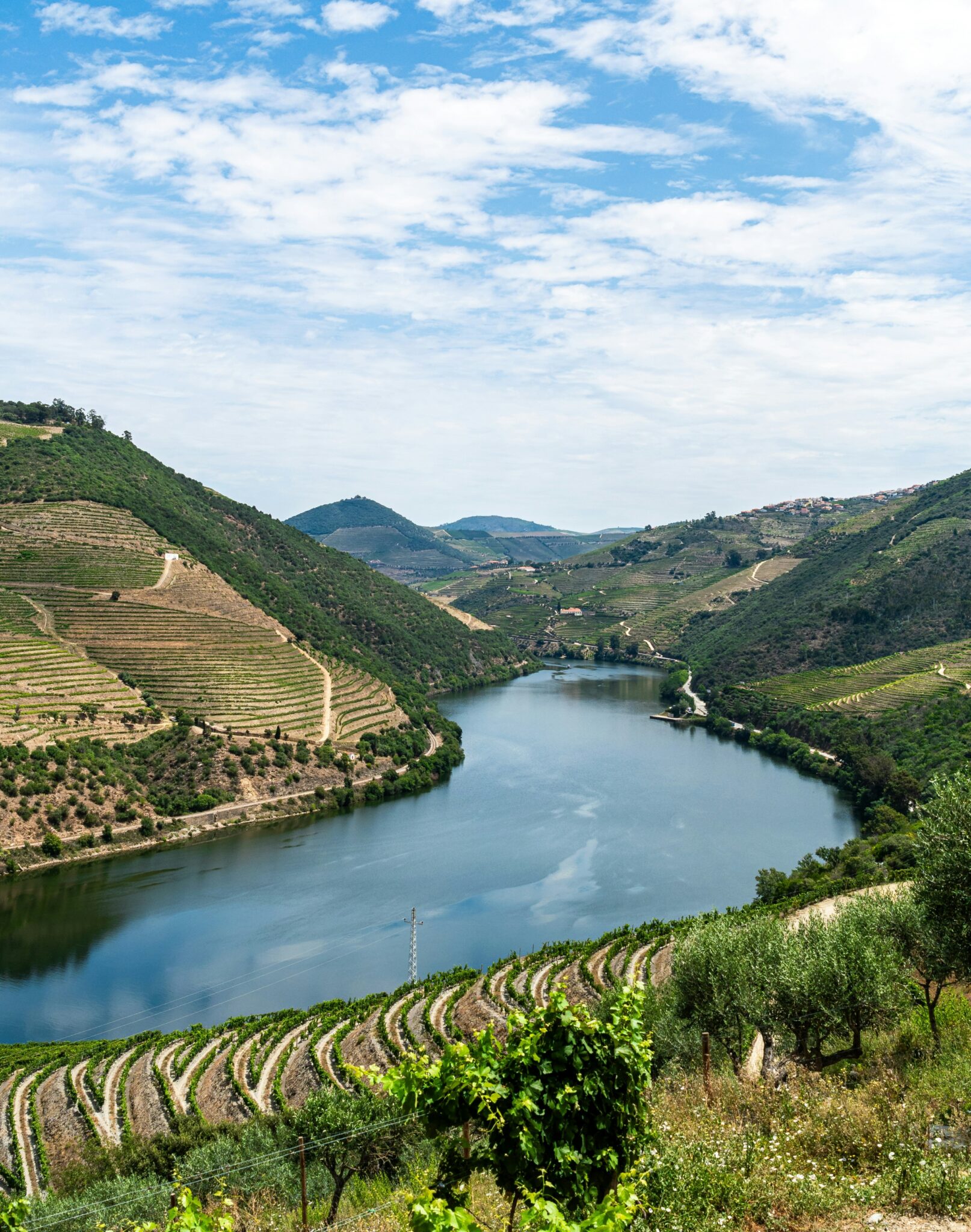 Top Douro Valley Wine Tours & Activities | Ciao Bambino!