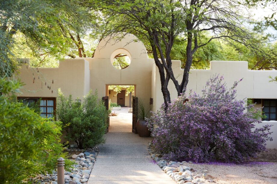 A Digital Detox Vacation at Miraval Arizona Resort & Spa | Ciao Bambino!