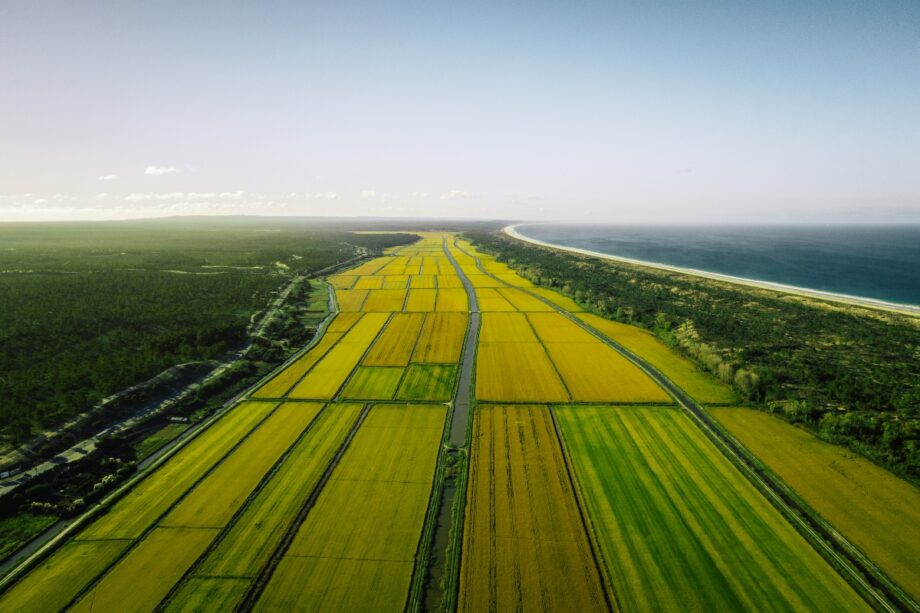 Why You'll Love the Portugal Beach Town of Comporta | Ciao Bambino!